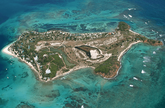 Palm Island - Discover SVG